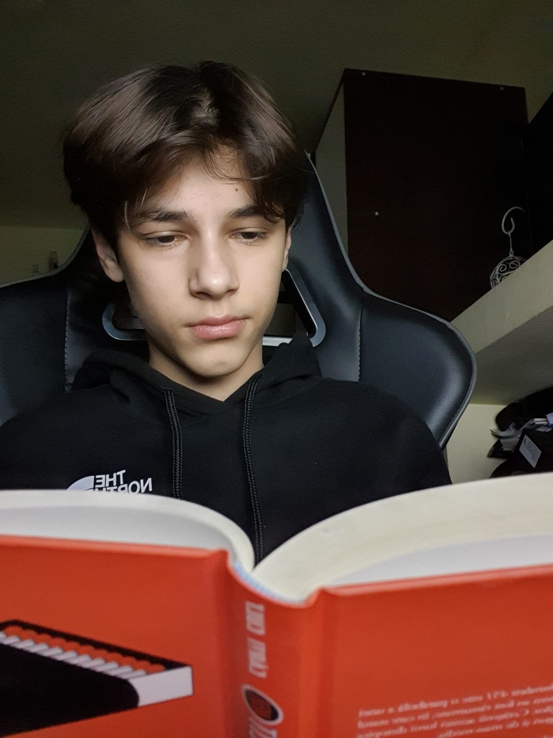 ChatGPT Era | LOGO paper