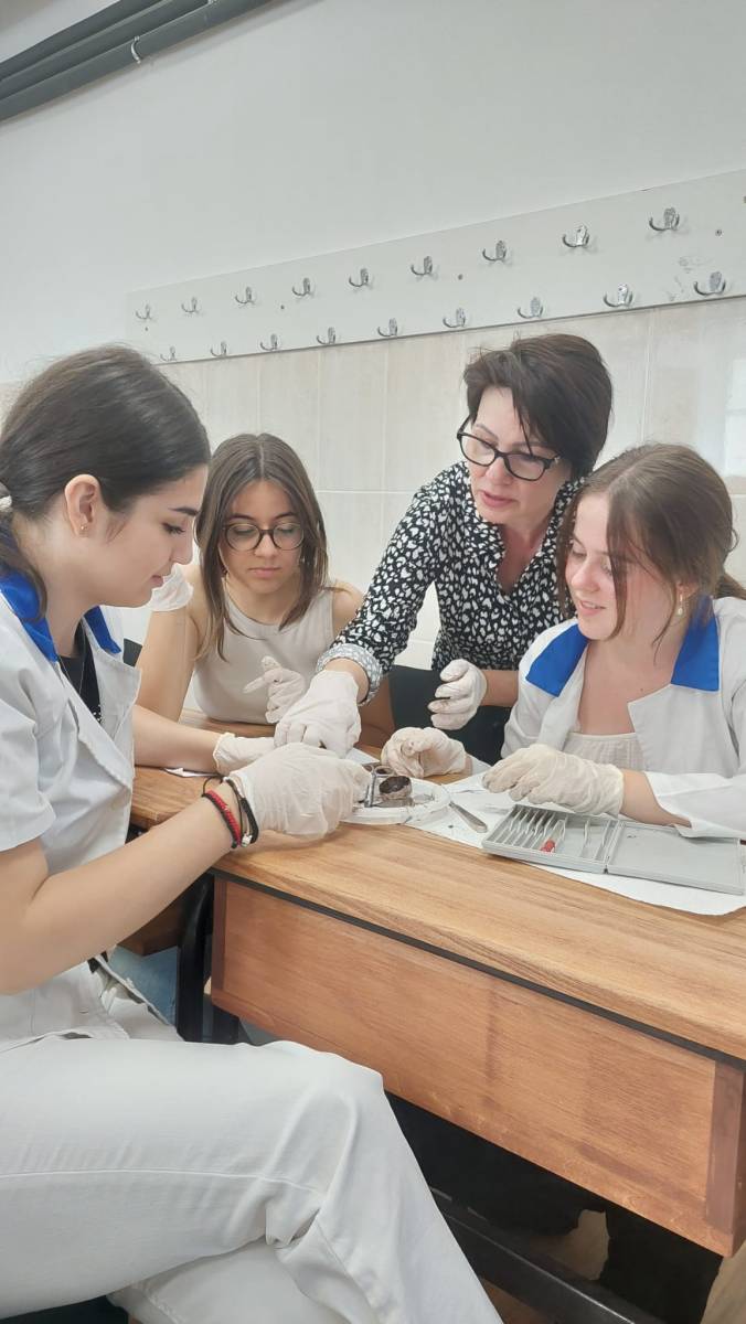 Călătorie fantastică în globul ocular! | LOGO paper