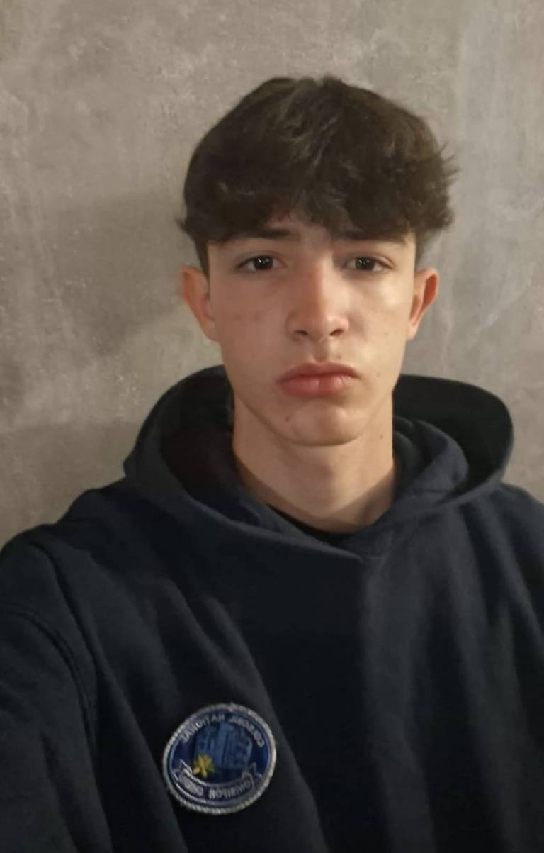 DENIS: Furtul de la Luvru readuce în memorie rana românilor: Coiful ...